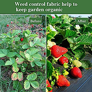 AGTEK Landscape Fabric 8.2x25 FT Heavy Duty Ground Cover