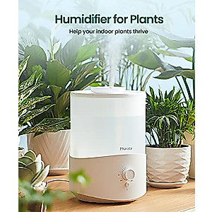 Pharata Humidifiers for Bedroom Large Room, 2.5L Cool Mist Humidifier with Essential Oil Diffuser, Top Fill Air Humidifier for Baby, Home, Plant, Ultrasonic Humidification for whole house, Auto Shut-Off, (White)