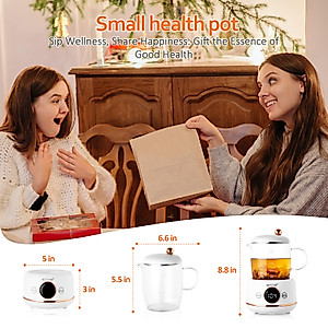 BEESTAR Small Electric Kettle with Automatic Heat Preservation,Glass Portable Kettle Temperature Control,6 Preset Programs,High Borosilicate Glass,0.6 Liter Capacity for Your Office or Kitchen