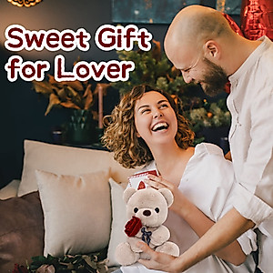 LSYDCARM Teddy Bears Stuffed Animals with Rose, 9Inch Valentines Day Bear, Valentines Day Gift for Girlfriend or a Gift for Children on Holiday, Romantic Night Kawaii Bear Plush, Anniversary