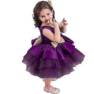Christening Lace Birthday Christmas Easter Special Occasion Flower Baby Girl Dress Princess Formal Prom Tutu Ball Gown 2T 3T Purple 100
