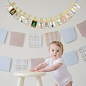 Labakita Happy 2nd Birthday Photo Banner - Baby 2nd Birthday Photo Frame Photo Banner - Baby Boy or Girl's 2nd Birthday Party Decorations Supplies - Two Years Old Birthday Sign (Gold)