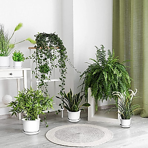 12 Inch 10 Inch 9 Inch Plant Pots, Rifny Extra Large Planters for Indoor Plants with Drainage Holes and Tray, Set of 3 Flower Pots Modern Decorative Planter for House Garden Plants and Flowers (White)