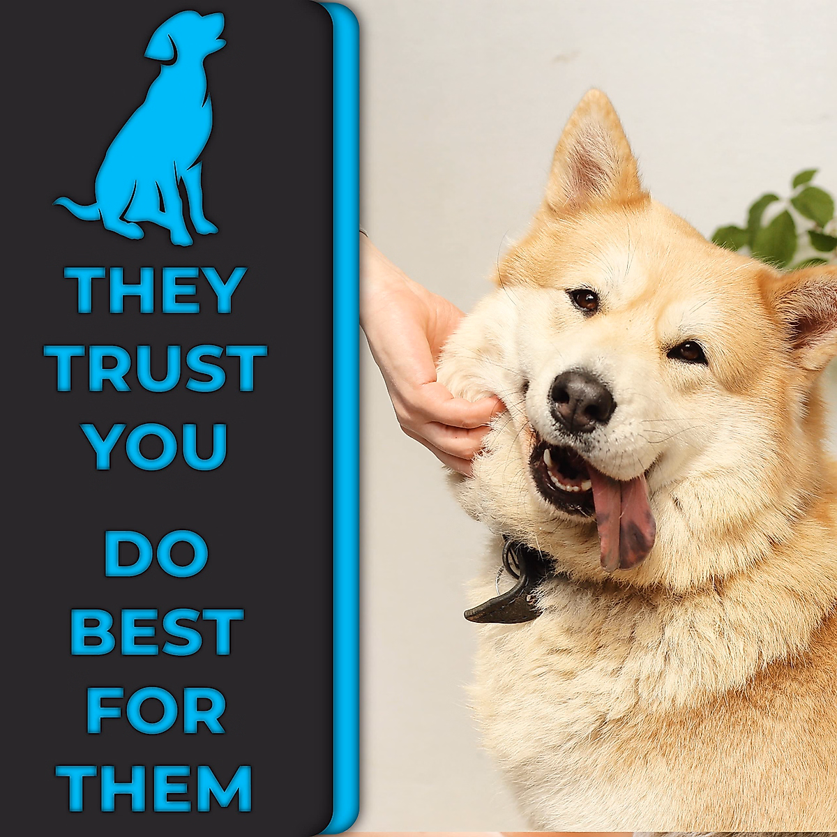 H&H Pets 360-Degree Bristle Toothbrush for Dogs and Cats - Super Soft Nylon bristles Tooth Brush, Puppy Supplies, Dog Brush Set, Pet Supplies Dog Grooming Kit Eco-Friendly (8-Count Pack)