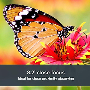 Celestron – Outland X 10x50 Monocular – Outdoor and Birding Monocular – Fully Multi-Coated Optics and BaK-4 Prisms – Bonus Smartphone Adapter and Bluetooth Remote Included