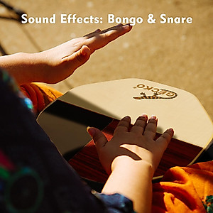 GECKO Cajon, Portable Box Drum with Storage Bag, Hand Drum, Percussion Instrument, Bong and Snare
