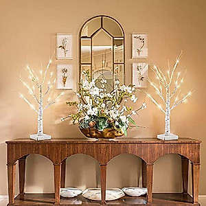 YEAHOME 2 Pack 2FT/24” Birch Tree Light with 18LT Warm White LEDs Battery Powered Timer for Christmas Decorations Indoor, Artificial Tabletop Money Tree for Wedding Party Desk Table Mantel Home Decor