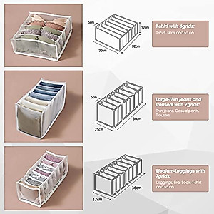 AUREIKA Wardrobe Clothes Organizer | 3PCs Closet and Drawer Organizer for Clothing | Nylon Mesh Divider Storage Compartments for T-shirts Leggings Bras Pants Skirts Socks | Medium Large and Small