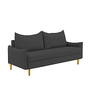 AnwickNomo Modern 67" Fabric Loveseat Sofa, 2-Seater Couch for Living Room, Small Space Furniture with Golden Legs, Upholstered Love Seats for Apartment, Bedroom, Living Room, Home Office (Dark Grey)
