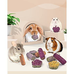 Bissap 12PCS Rabbit Chew Sticks, Hanging Chew Sticks & Cakes Timothy Hay Carrot Strawberry Treat for Bunny Chinchilla Guinea Pig Hamster and Other Small Pets Molar Snack Toy