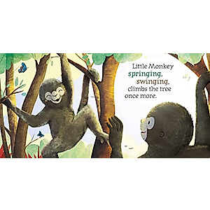 Little Monkey (Little Animal Friends)