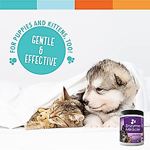 Enzymes for Dogs & Cats - Enzyme Miracle - Systemic & Digestive Enzyme Formula - Powder - 364 Servings - Vegetarian