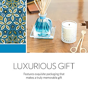 AGRARIA Scented Candles, Long-Lasting Premium Soy Wax Candles, Vegan, Scented Candles for Home, Elegant Home Fragrance Scented Candles Gifts, 7oz