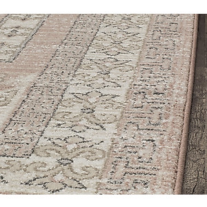 Rugs America Harper HY40A Vintage Transitional Carnation Non-Shedding Living Room Bedroom Dining Home Office Area Rug, 8'0" x 10'0"