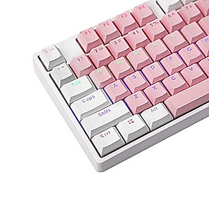 OEM Profile 104 Doubleshot PBT ANSI Layout Keycaps for Mechanical Keyboard,Key caps,Durable Translucent Backlit Key Compatible Gaming Keyboard keycaps for 61/87/104 Keyboards(Pink White Combo)