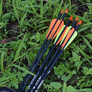 Carbon Arrow Hunting Arrows with 100 Grain Tip and Removable Tips for Archery Compound & Recurve & Traditional Bow Practice Shooting Targeting