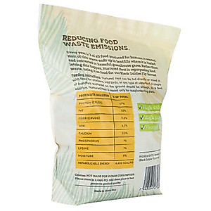 Nurtured Nest Premium Black Soldier Larvae - High Protein/High Calcium Chicken Treats - Better Than Mealworms - Non-GMO, Additive Free (2.5 lb)