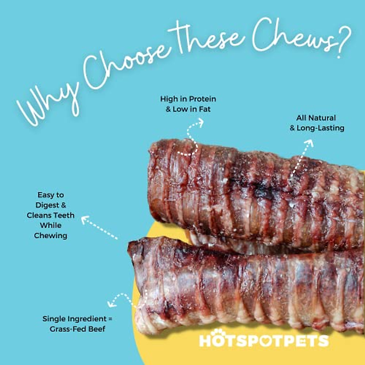 hotspot pets Premium 12'' Beef Trachea for Dogs Large - All Natural Long Lasting Dog Chews Rich in Glucosamine & Chondroitin 100% Beef Chews Single Ingredient Grass Fed Dog Treats