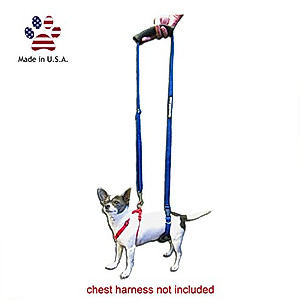 GINGERLEAD Dog Sling Hip Support Harness, X-Small Fits Little Pets Under 25 lbs and Dachshunds with IVDD, Spinal Disc Disease, or Back Injuries. Assist Elderly, Paralyzed, or Recovering Pets.