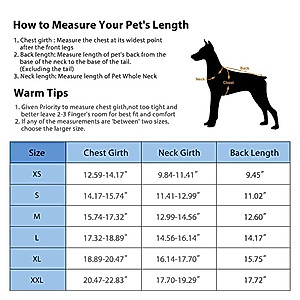 Gyuzh Padded Vest Dog Jacket Warm Zip Up Dog Vest Jacket with Harness Winter Small Dog Coat - Dog Clothes for Small Dogs (Black + Grey, Medium)