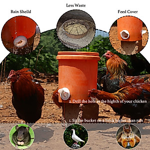 Chicken Feeder and Waterer Kit, 6 PCS Poultry Feeders No Waste and Chicken Water Cups for Buckets Barrels
