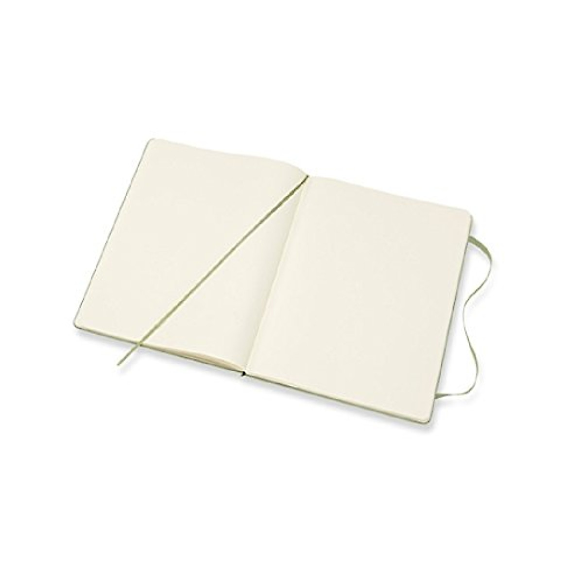Moleskine Classic Notebook XL Plain Willow Green Hardcover (8055002855150)