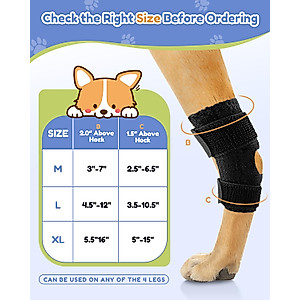 Huimpet Short Rear Leg Hock Brace, Dog Leg Braces for Back Leg with Flexible Velcro, Dog ACL Brace hind Leg, Hock & Ankle Support, Dog Leg Sleeve Protect Wound and Pain Relief, Medium,1 Pair, Black
