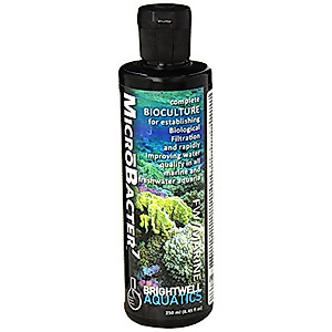 Brightwell Aquatics MicroBacter7 - Bacteria & Water Conditioner for Fish Tank or Aquarium, Populates Biological Filter Media for Saltwater and Freshwater Fish 250ml