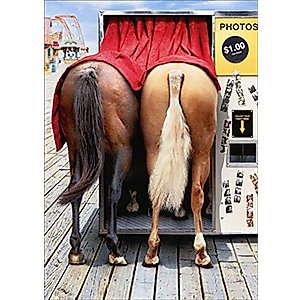 Horses in Photo Booth - Avanti Funny/Humorous Birthday Card