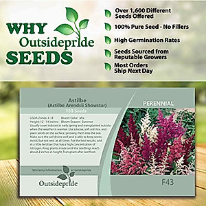 Outsidepride Dwarf Astilbe Arendsii Showstar Garden Flower Plant Seed - 200 Seeds