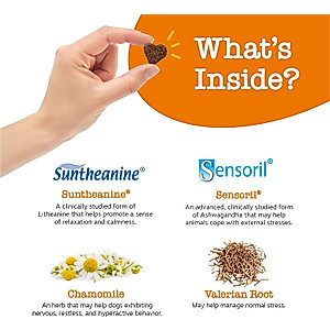 Zesty Paws Calming Chews for Dogs Peanut Butter, 10 Count, Pouch