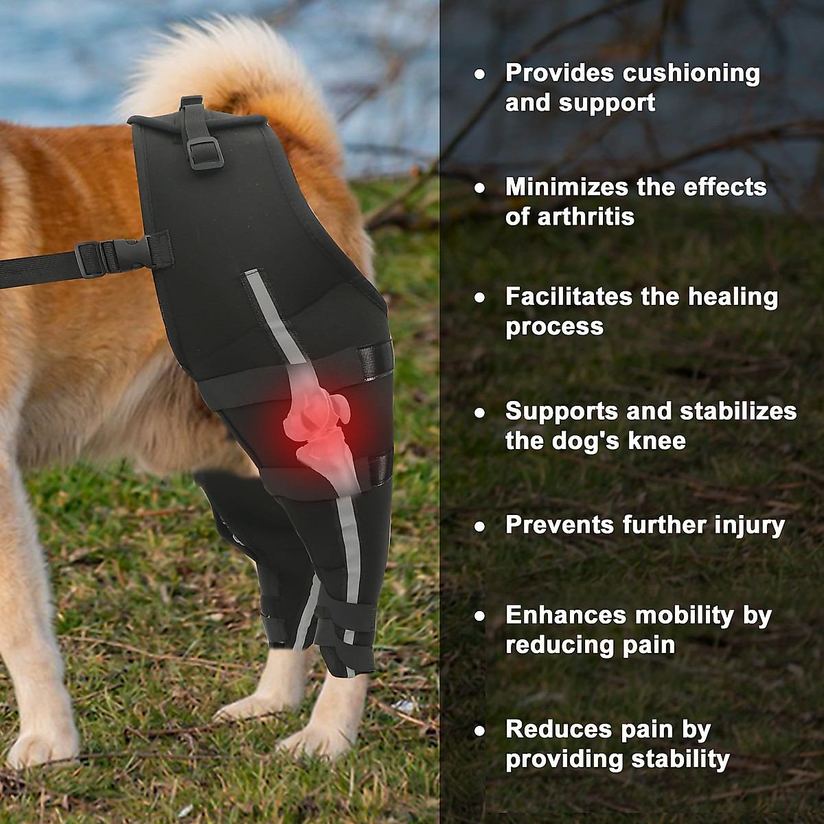 WACOI Dog Knee Brace for Torn ACL Hind Leg, Dog Leg Braces for Back Leg, Adjustable Leg Support for Large and Small Dogs with ACL, CCL, Cruciate Ligament Injuries L