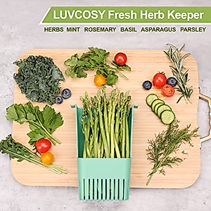 LUVCOSY Herb Keeper, BPA-Free Plastic Herb Saver with an Inner Basket for Cilantro, Mint, Parsley, and Asparagus, Keeps Fresh Herbs for 3 Times Longer,1Pcs, Blue