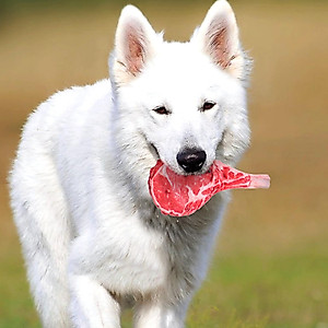 LUOZZY Plush Dog Squeaky Toy Lifelike Steak Shaped Dog Toy Interactive Dog Chew Toy for Teething Molaring Pet Supplies