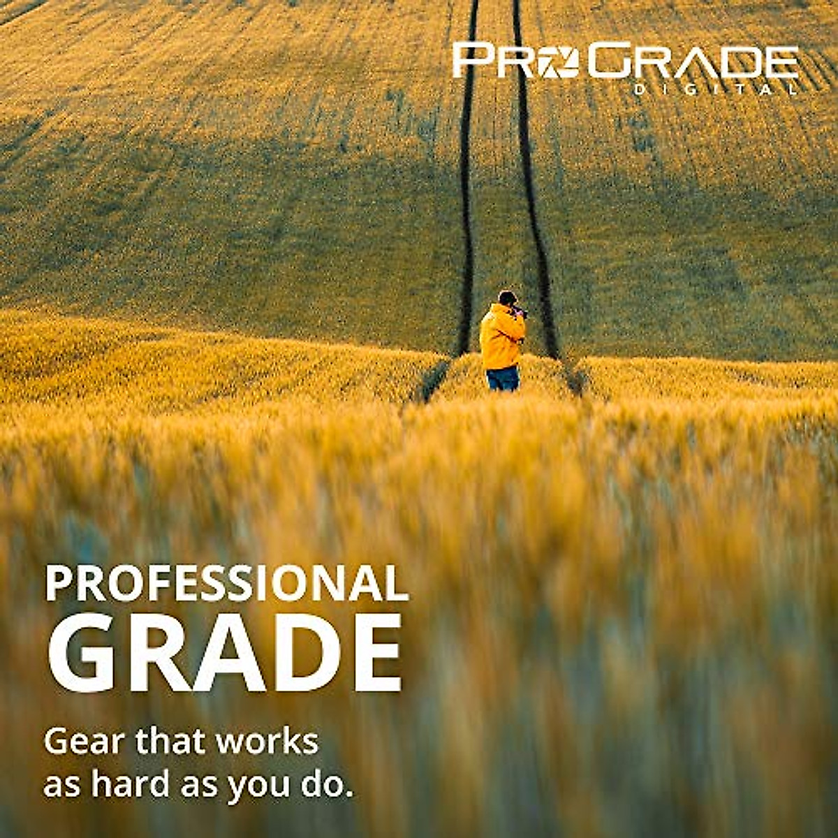 CFexpress Type B and SD UHS-II Dual-Slot Memory Card Reader by ProGrade Digital | USB 3.2 Gen 2 for Professional Filmmakers, Photographers & Content Creators
