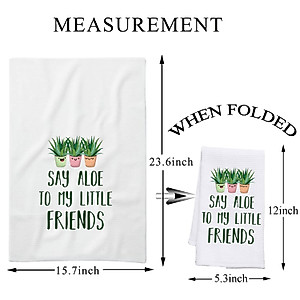 BDPWSS Plant Lover Gift Say Aloe to My Little Friends Dish Towel for Gardener Gift Succulent Plant Gift Crazy Plant Lady Gift (Say Aloe Friends TW)