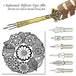 hhhouu Feather Pen and Ink Set, Quill Pen Set Antique Dip Pen with Ink and 6 Replacement Nibs 6pcs Nibs Calligraphy Pens for Beginners HO-Q-300