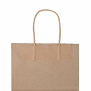 bagmad 100 Pack 8x4.75x10 inch Plain Medium Paper Bags with Handles Bulk, Brown Kraft Bags, Craft Gift Bags, Grocery Shopping Retail Bags, Birthday Party Favors Wedding Bags Sacks