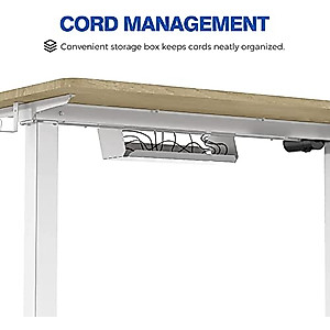 FLEXISPOT Standing Desk Quick Assembly Electric Stand Up Desk with 40 x 24 Inches Whole-Piece Desktop Ergonomic Memory Controller Height Adjustable Desk(White Frame + 40" Grey Wood Grain Desktop)