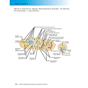 Netter's Correlative Imaging: Musculoskeletal Anatomy: with Online Access at www.NetterReference.com (Netter Clinical Science)