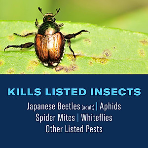 BioAdvanced All-in-One Rose & Flower Plant Care, Ready-to-Spray, 32FOZ