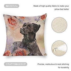 Dog Black Lab Labrador Throw Pillow Covers 18X18 Pillow Cushion Cases, Modern Decorative Square Pillowcases for Sofa Couch Bedroom Living Room Car