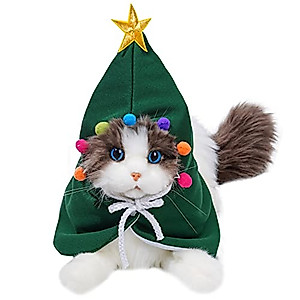 Lystaii Pet Christmas Costume Cloak Cat Santa Cape with Santa Hat Star and Pompoms Accesories Puppy Dog Xmas Party Cosplay Dress Velvet Winter Warmer for Dog Cats (Large, Green)