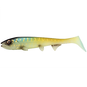 Rosewood Bombshad Fishing Lure Soft Bait,Square Tail,Soft Eyes,Shad Swimbait Big Fish for Pike Perch Catfish Zander Big Game Fishing Gear Tackle Pack of 2 (14cm 25g, Color-E)