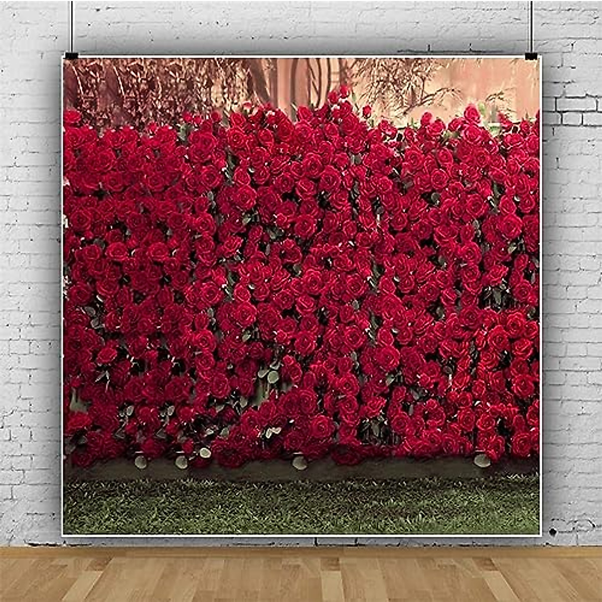 AOFOTO 8x8ft Portrait Backdrops Photography Wedding Background Manor Romance Red Rose Flowers Wall Blurry Grassland Lovers Anniversary Decor Kid Girl Ladies Portrait Photo Shoot Studio Props Vinyl