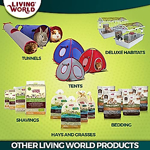 Living World Spray Millet, 17.6 Oz