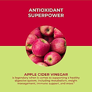 HYLAND'S Naturals Organic Elderberry Plus Gummies + Apple Cider Videgar Blast Gummies - 120 Vegan Adult Gummies (60 of Each)