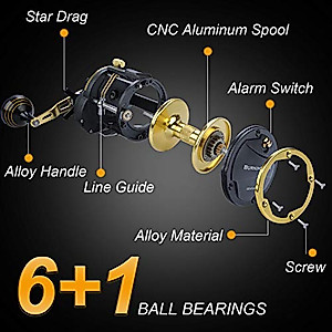 Sougayilang Trolling Reel Saltwater Level Wind Reels, Drag Reels Boat Fishing Ocean Fishing for Sea Bass Grouper Salmon-SHA30-Golden