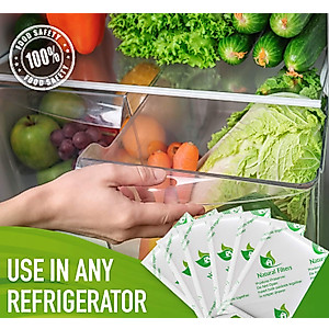Natural Filters Air Filter, Produce Preserver (6-Pack Bundle) - Refrigerator Replacement Parts
