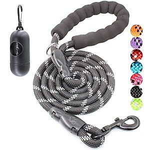 BAAPET 2/4/5/6 FT Dog Leash with Comfortable Padded Handle and Highly Reflective Threads for Small Medium and Large Dogs (6FT-1/2'', Black)